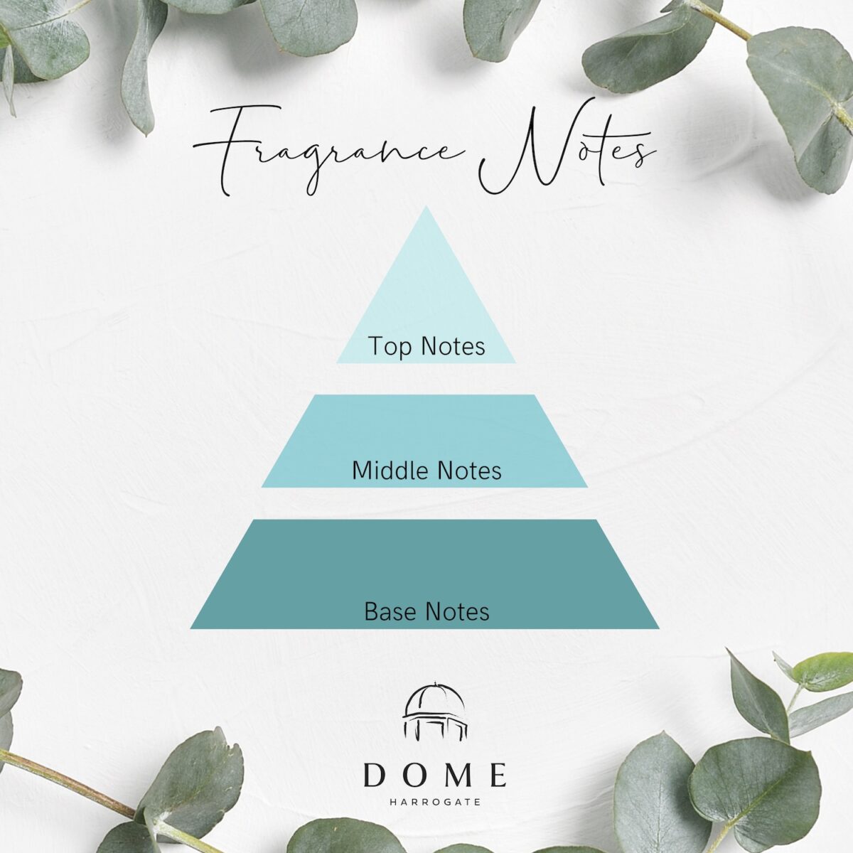 Let’s Talk Fragrance Notes! – Dome of Harrogate